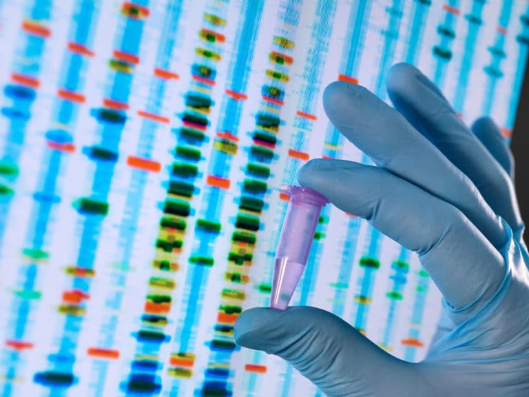 The Biopsychosocial Model of Addiction and Treatment Approach ...